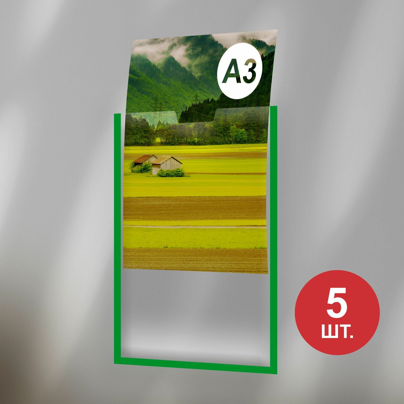 Карман настенный / карман для стенда с зелёным кантом / А3 / 5 шт