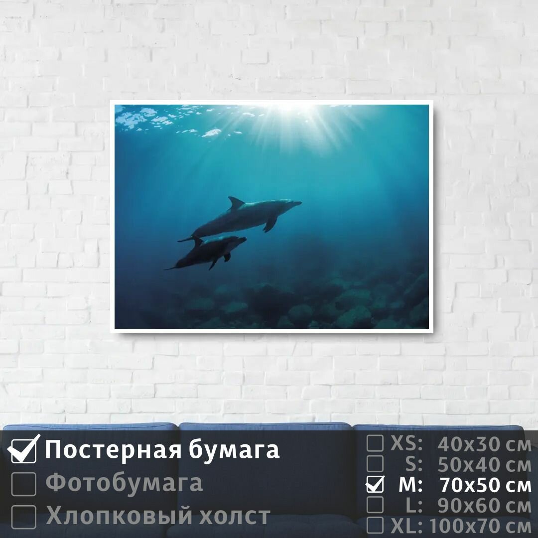 Постер на стену Два Дельфина Плавают В Глубине Океана 70х50 см ПолиЦентр