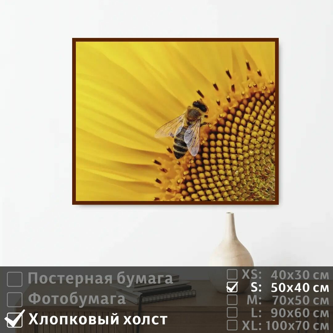 Постер на холсте Пчела В Подсолнухе 50х40 см ПолиЦентр