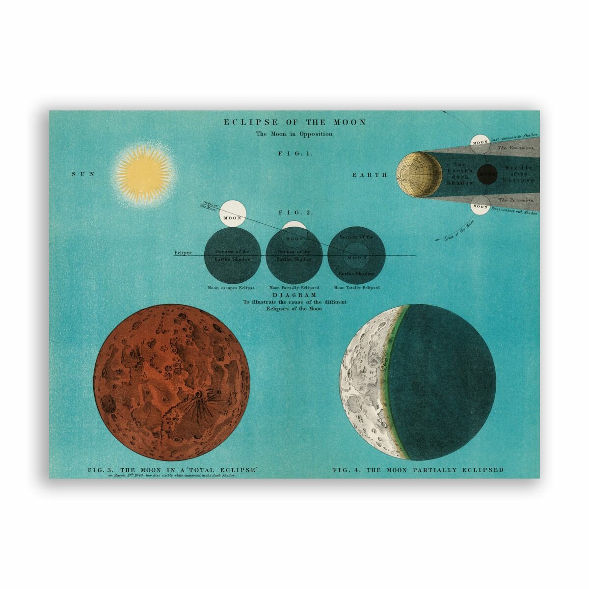 Постер, плакат на бумаге / Moon / Луна / Размер 30 x 40 см