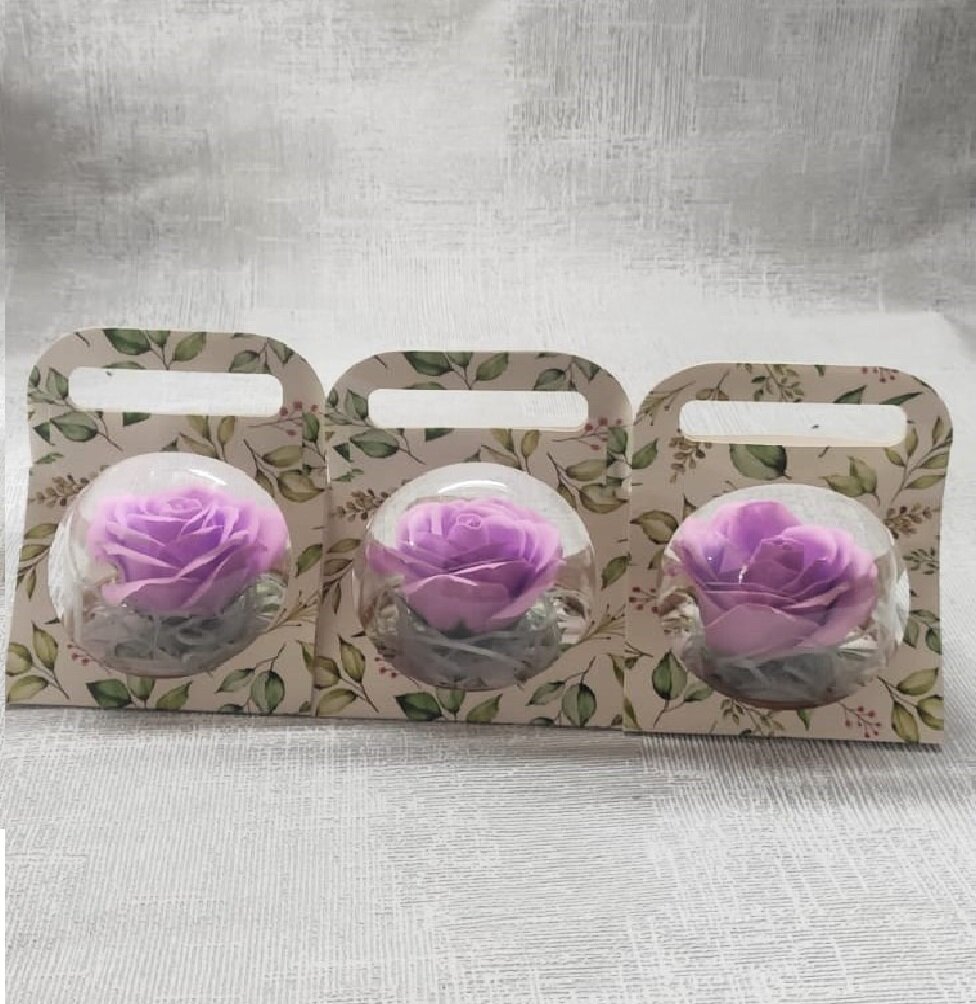 Роза в куполе