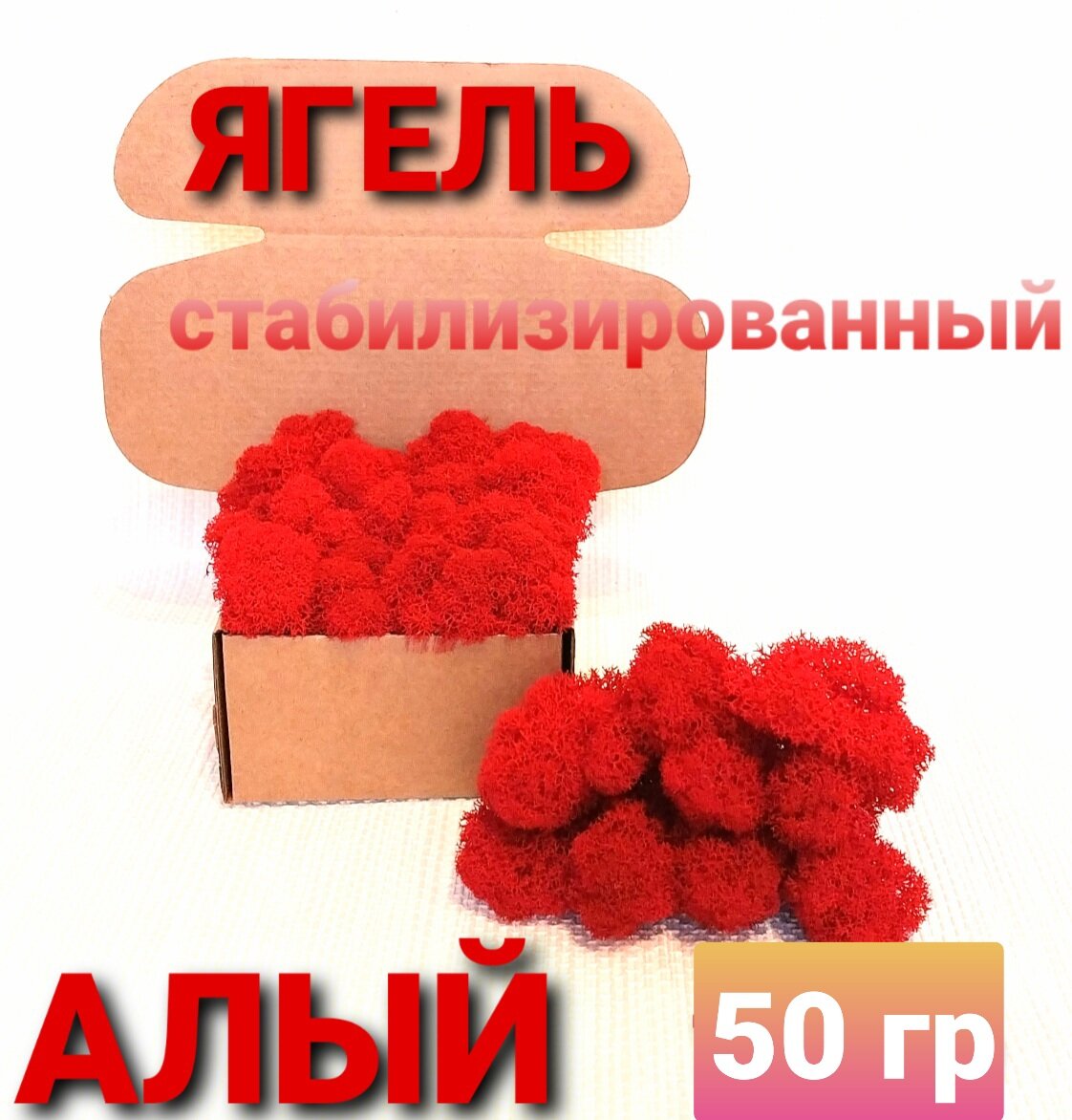 Мох (ягель) стабилизированный алый 50 гр