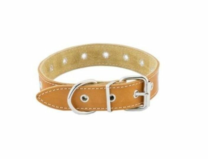 Homepet Ошейник для собак кожаный, двухслойный простроченный янтарь, 25 мм до 45 см
