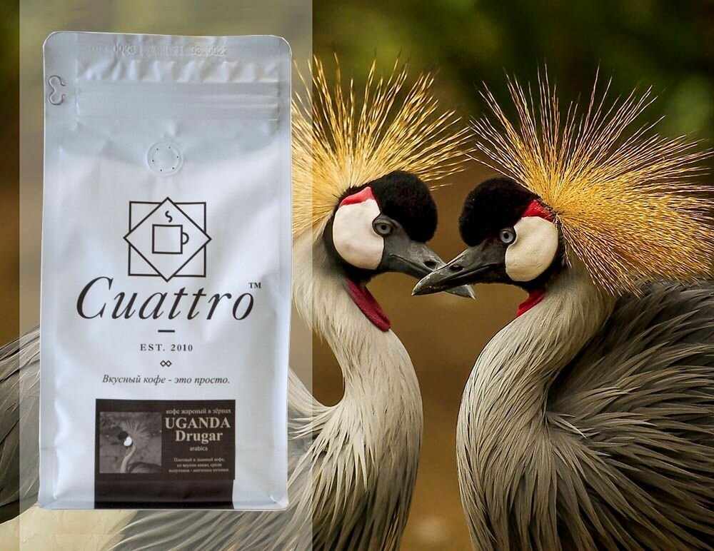 Кофе в зернах CUATTRO Уганда Другар 500 г, арабика
