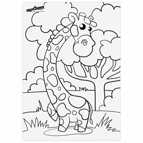 Карандаши цветные супермягкие юнландия "экзотика", 12 цветов, трехгранные, с раскраской, 181647