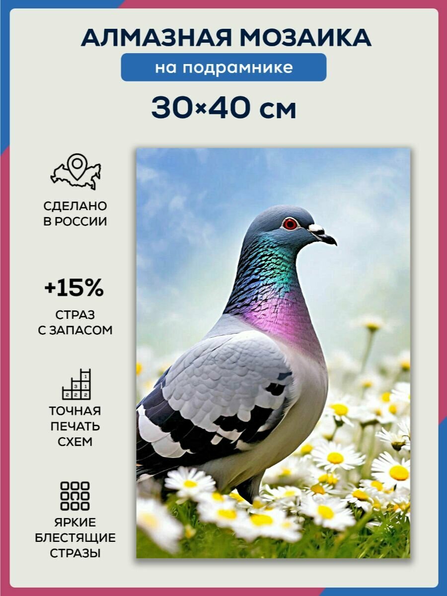 Алмазная мозаика 30x40 Голубь и ромашки на подрамнике