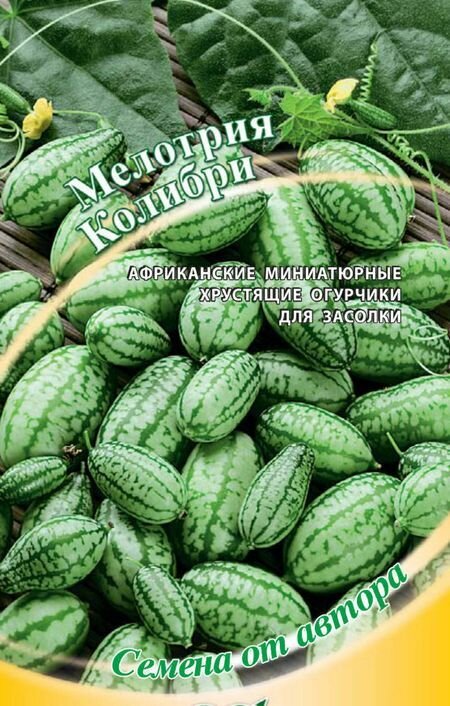 Мелотрия Колибри (мини-арбуз)*
