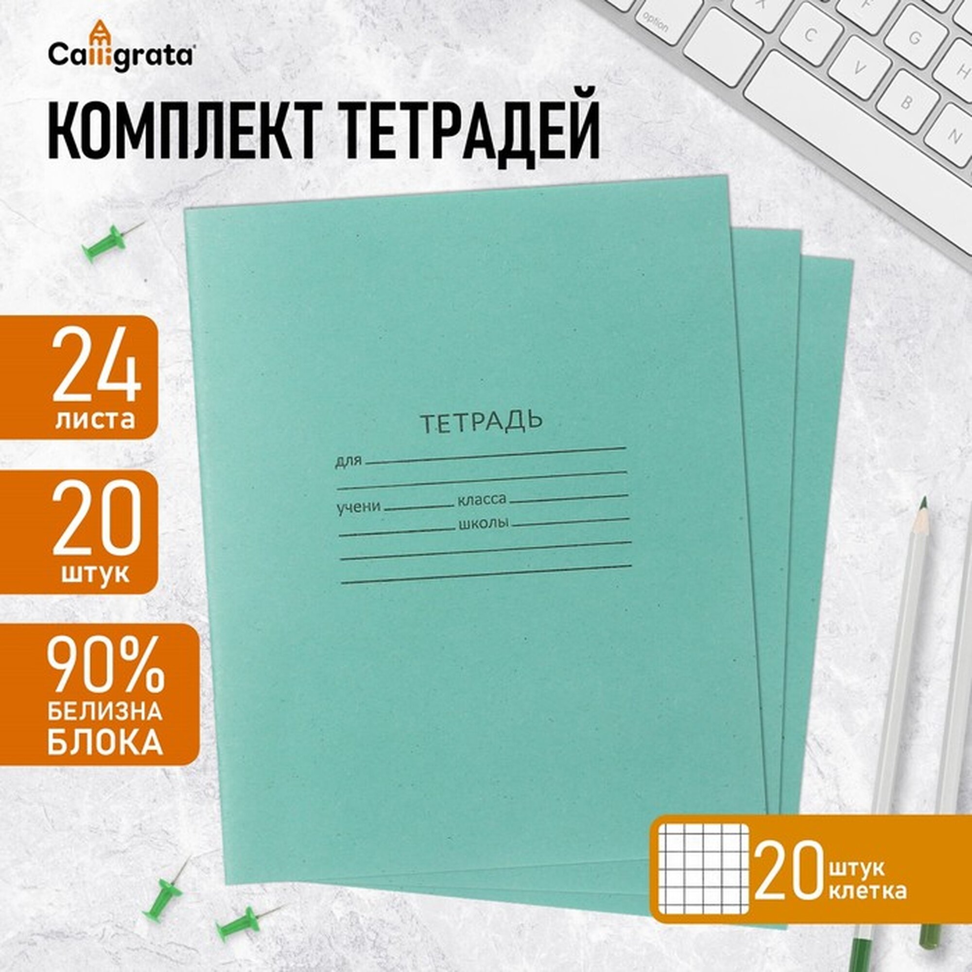 Комплект тетрадей из 20 штук, 24 листа в клетку КПК "Зелёная обложка", 58-63 г/м2, блок офсет, белизна 90%