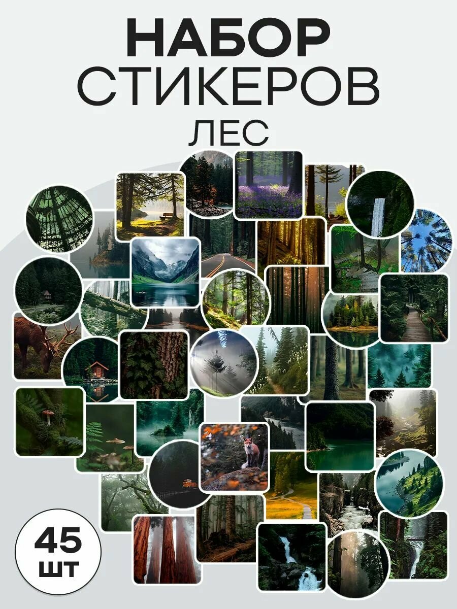 Наклейки на телефон Лес