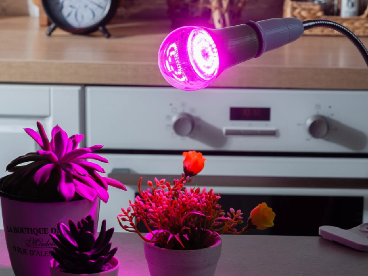 Лампа для растений LED-A60-15W/SPSB/E27/CL PLP30GR спектр для рассады и цветения Uniel UL-00004582