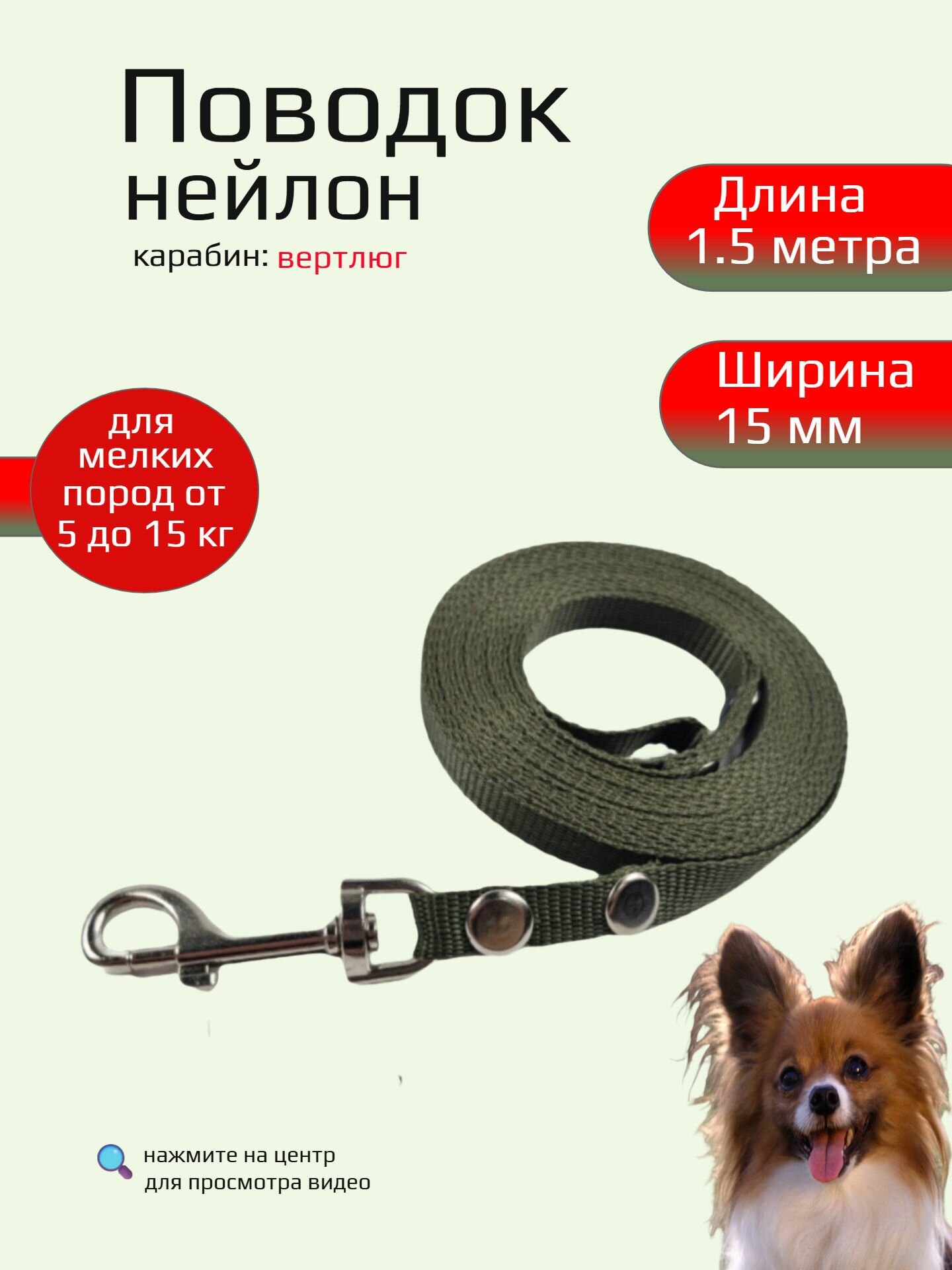 Поводок Хвостатыч для собак с карабином нейлон 1.5 м х 15 мм (зеленый)