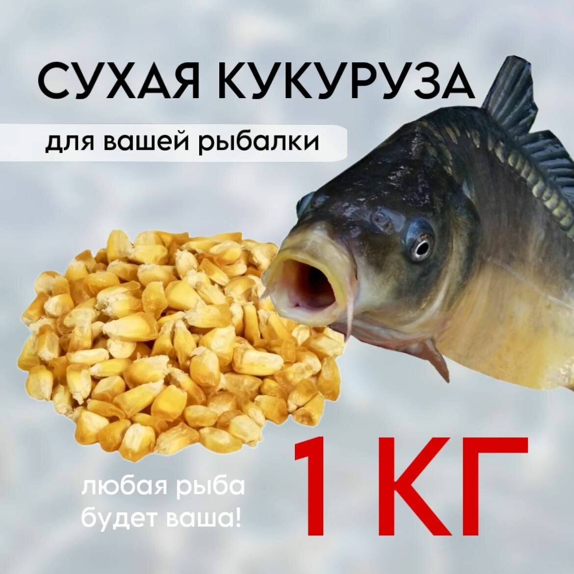 Сухая кукуруза для рыбалки 1кг