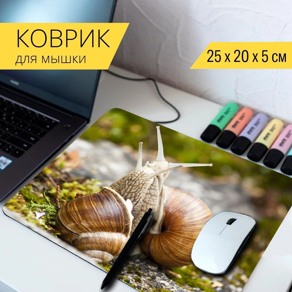 Коврик для мыши с принтом "Улитка, улитки, спираль" 25x20см.