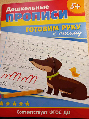 Дошкольные прописи. Готовим руку к письму (Котятова Н. И.)