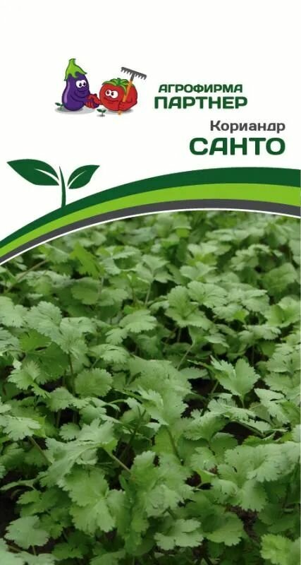 Партнер Кориандр санто (3Г)