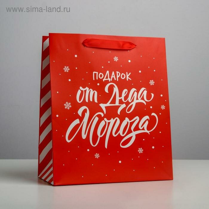 Пакет подарочный новогодний ламинированный Подарок от Деда Мороза, ML 23×27×11.5 см, 2 шт.