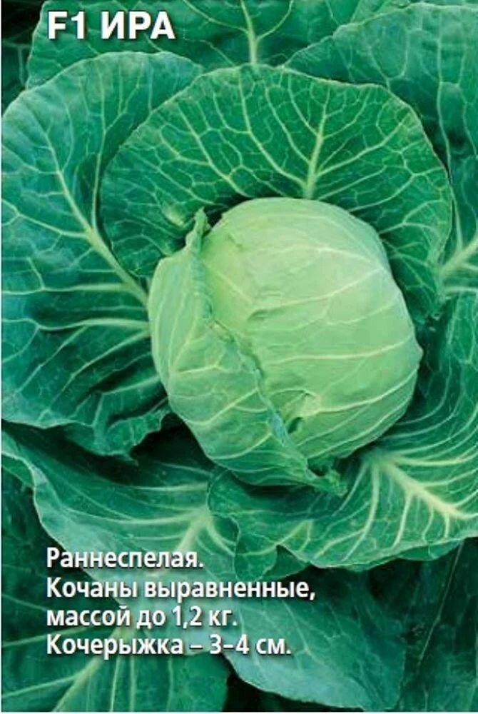 Коллекционные семена капусты б/к F1 Ира