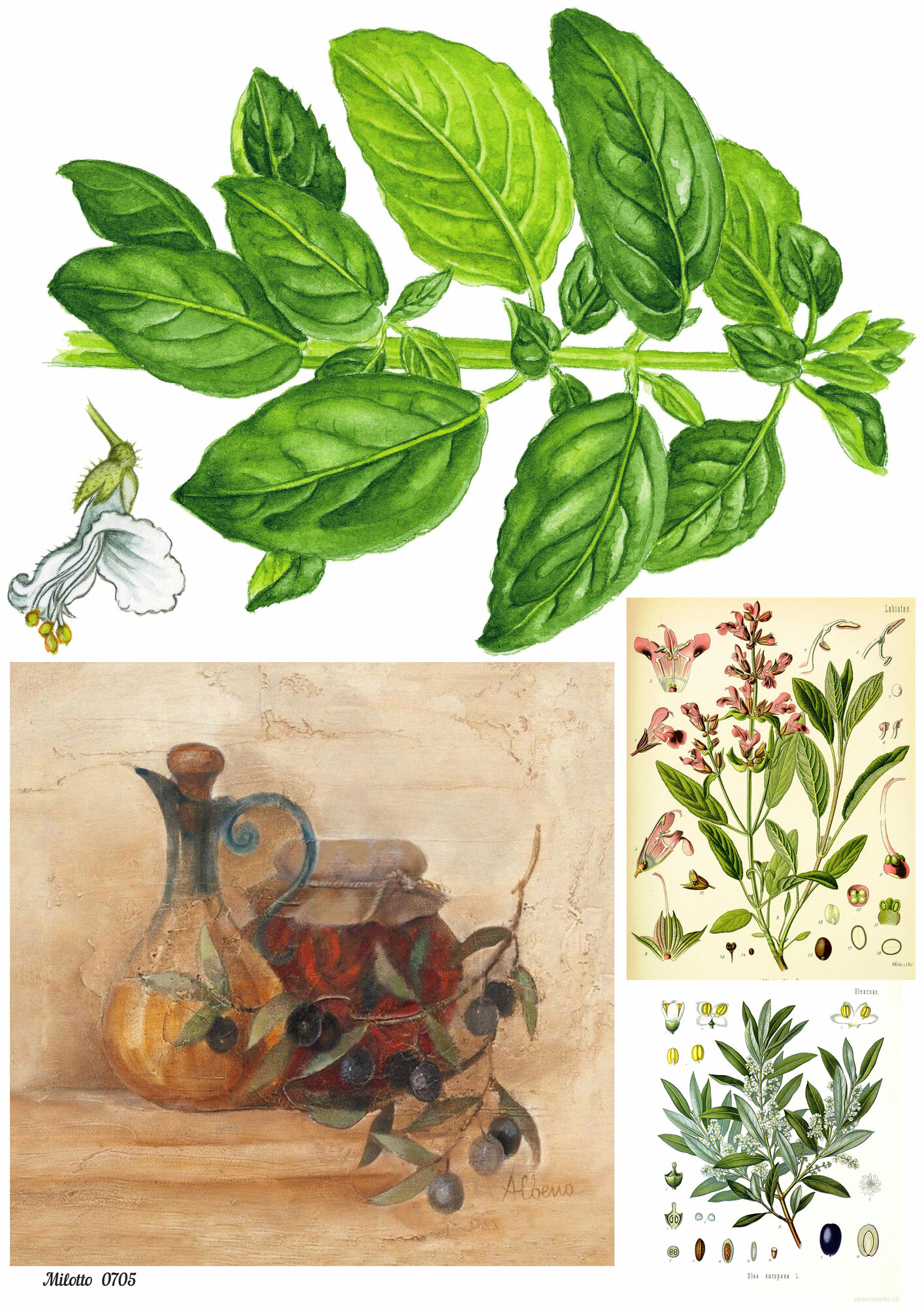 Рисовая бумага для декупажа карта А4 салфетка 0705 оливки винтаж крафт DIY