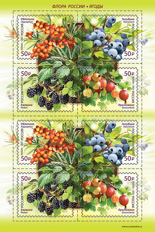 Почтовые марки Россия 2021г. "Ягоды" Флора, Ягоды MNH