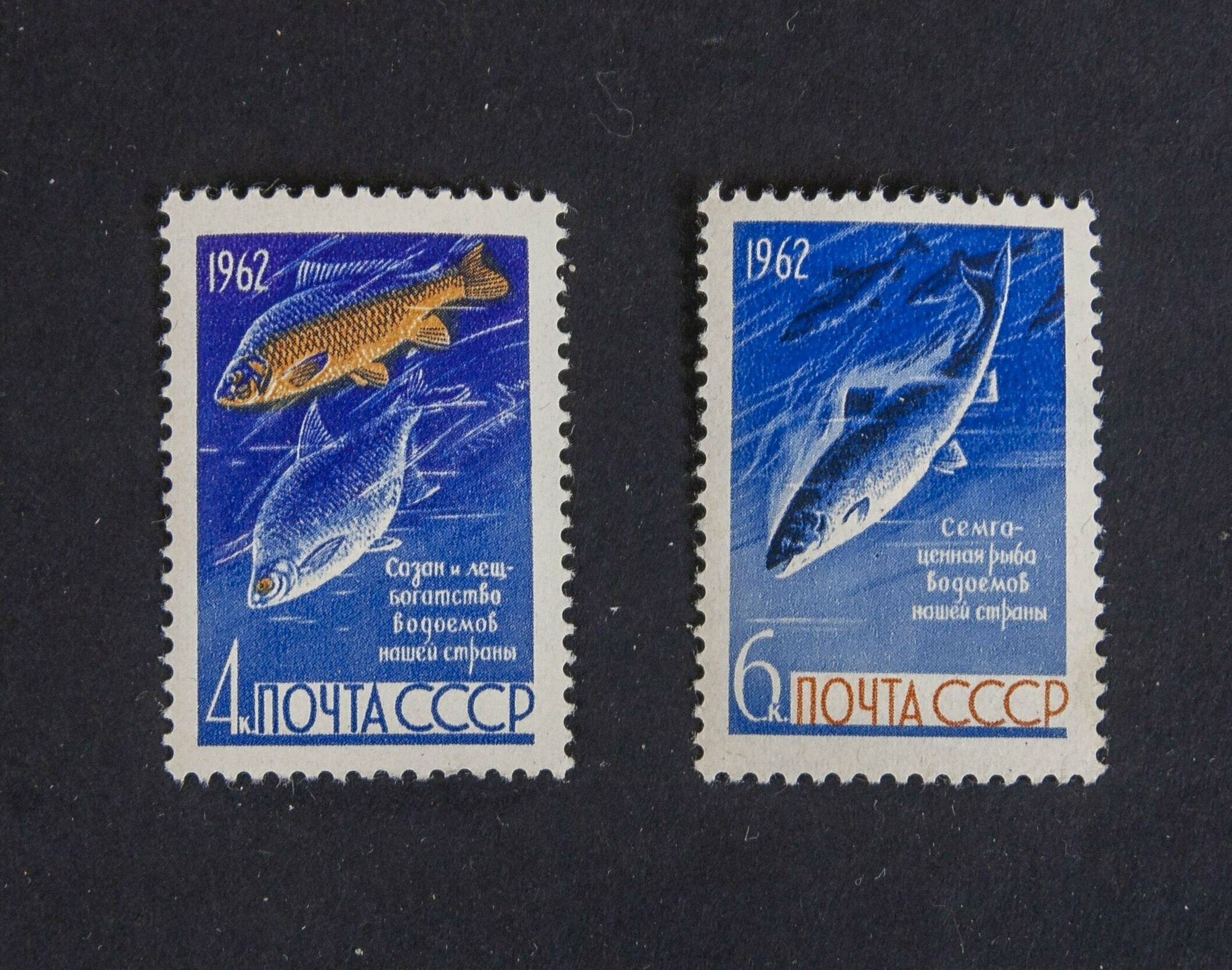 СССР 1962 Рыбы.