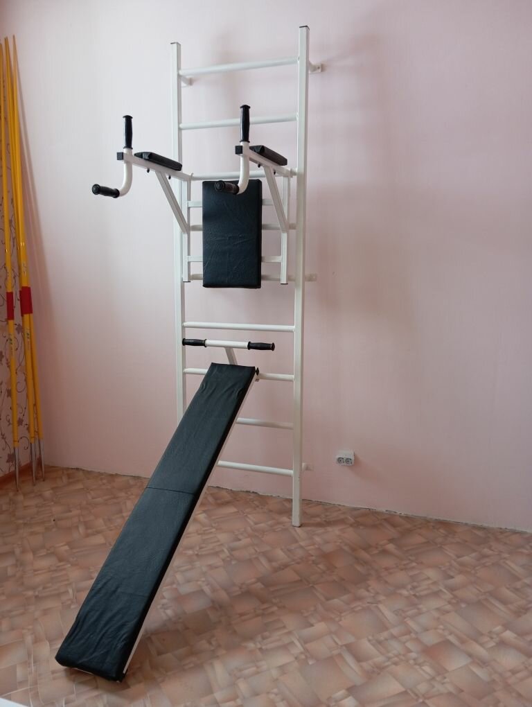 Спортивный комплекс на основе шведской стенки, металл