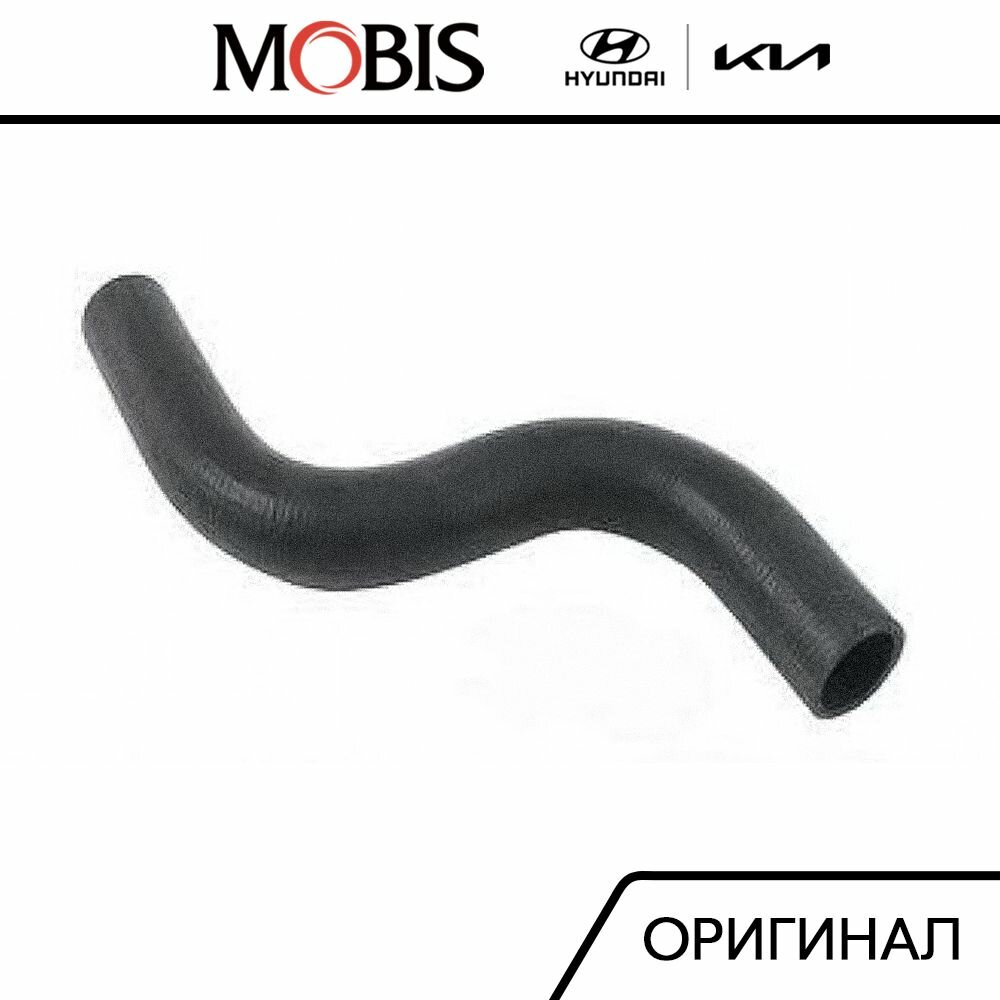 Патрубок радиатора верхний для Hyundai Accent 1999-2006 / арт. 2541125100 / бренд MOBIS