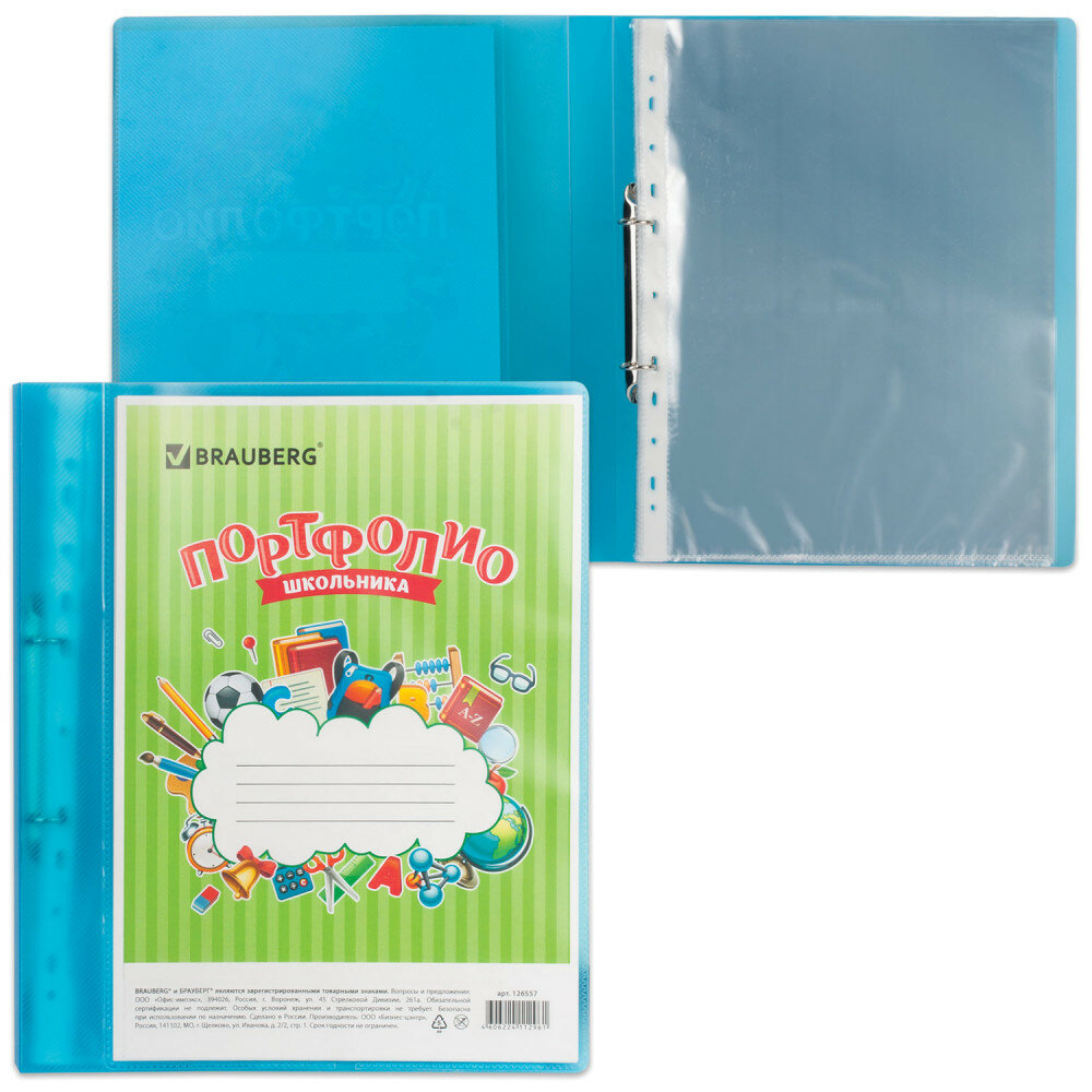 Папка для портфолио школьника, 2 кольца, 20 файлов, пластик, полупрозрачный, синяя, BRAUBERG, 126557, 1 шт