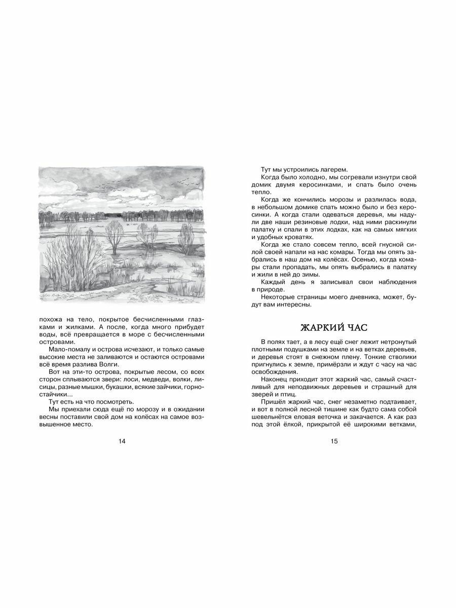 Лисичкин хлеб — фото 1