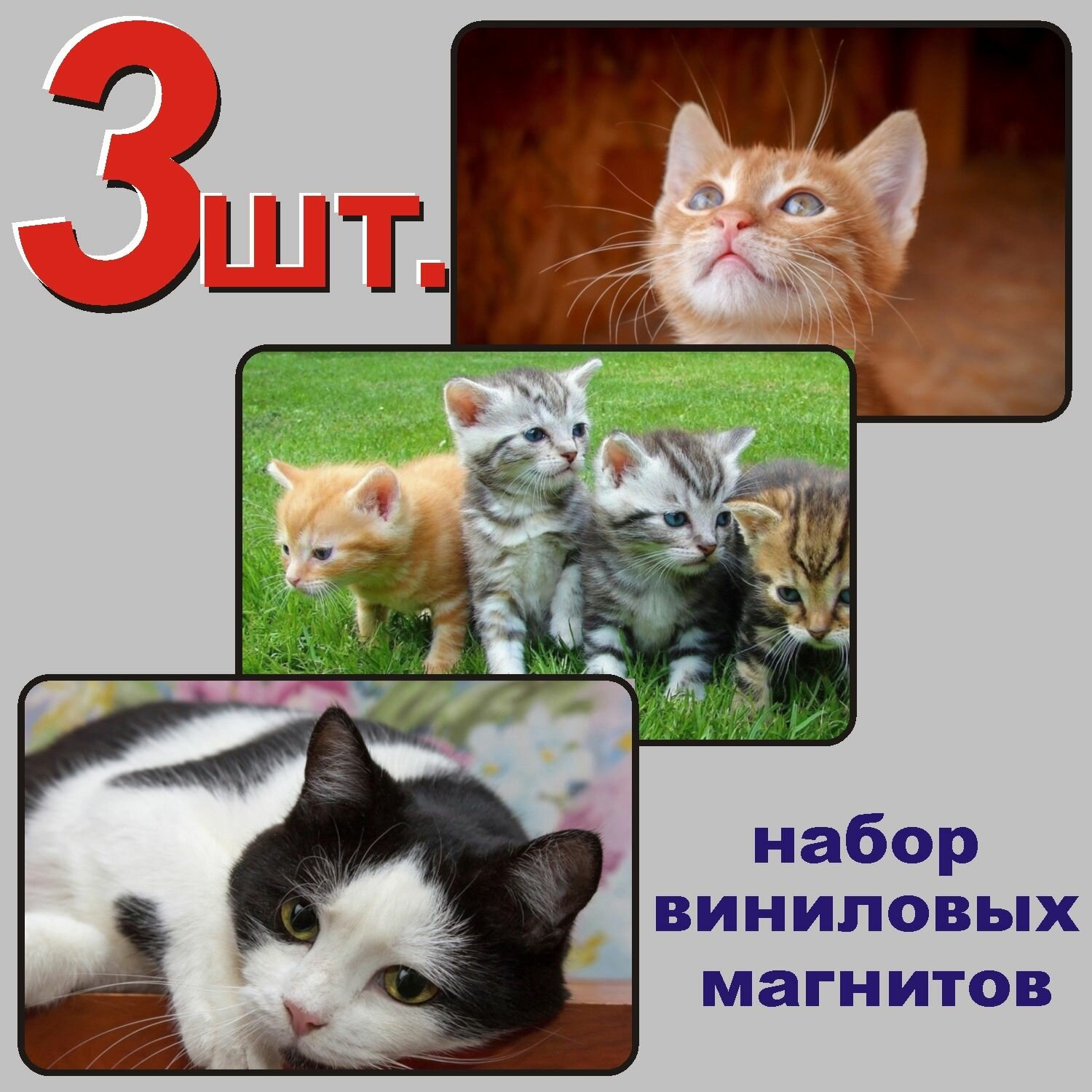 Котики набор магнитов 54x86мм 3 шт.