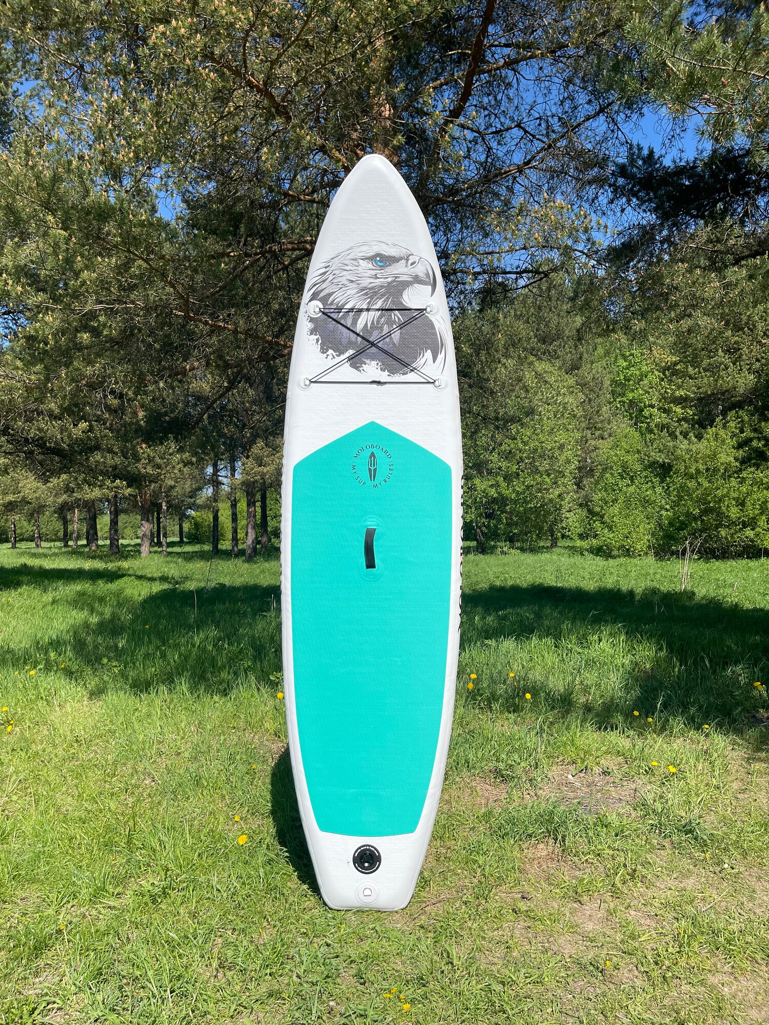 Сап-борд Moloboard "Орёл", надувной, зелёный, с полной комплектацией и оригинальным дизайном 315х81х15 см
