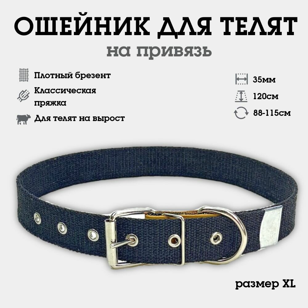 Ошейник для телят, лошадей, крупных собак, быков, КРС, коров, скота брезент, однослойный 35мм 120см
