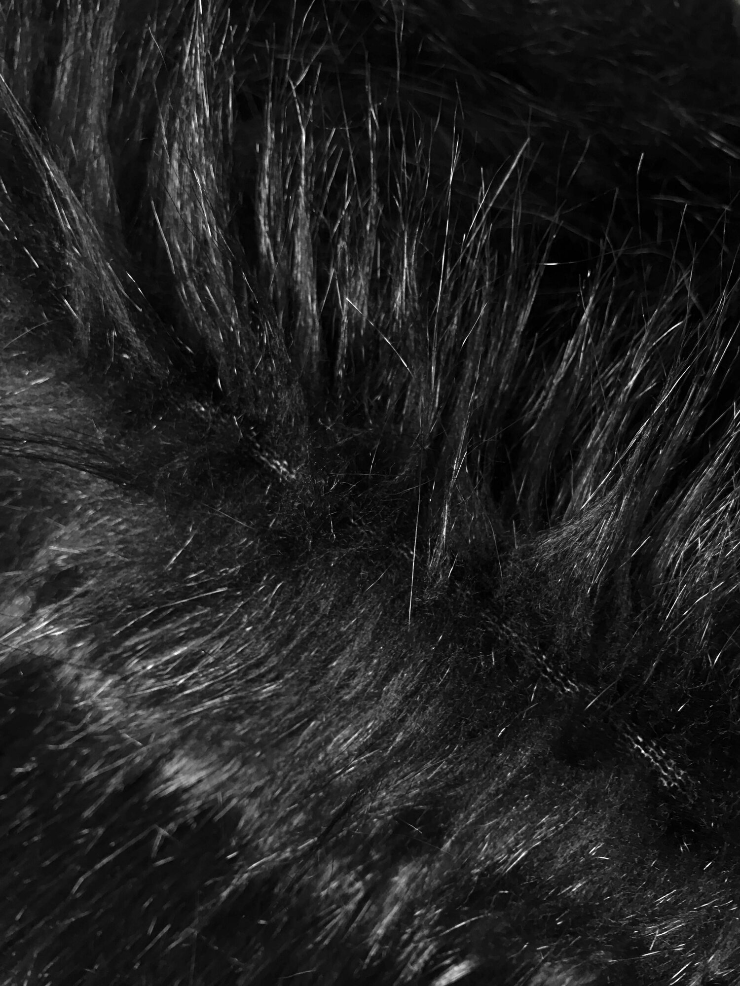 Мех искусственный длинноворсовый для пошива мягких игрушек и карнавальных (новогодних) костюмов, цв. черный, высота ворса 90 мм, ш-150 см, отрез 1 метр