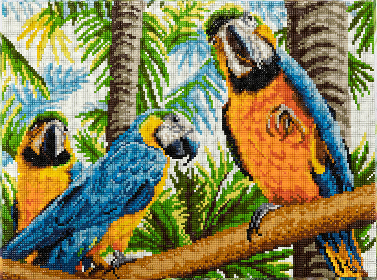 Фрея ALPD-118-QF24 кристальная алмазная мозаика на подрамнике Яркие попугайчики 40×30 см