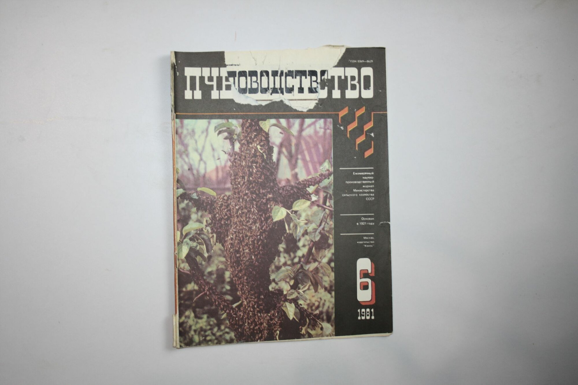 Журнал Пчеловодство № 6, 1981