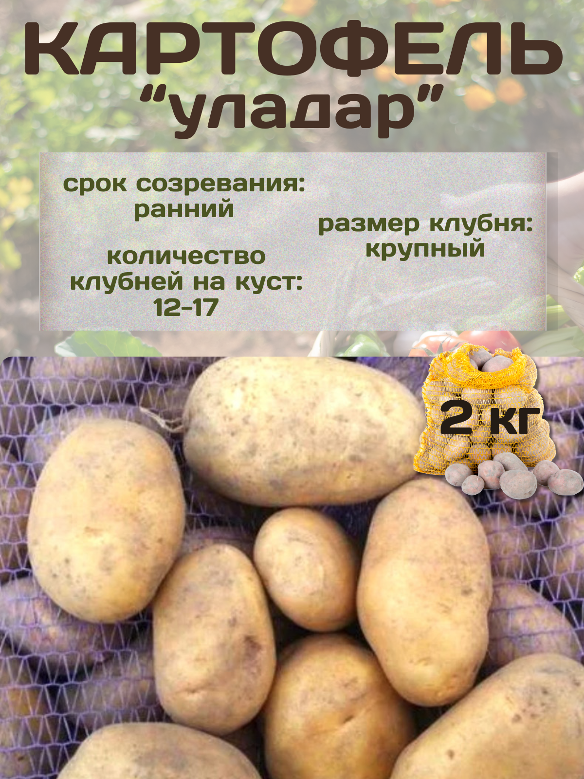 Картофель семенной Уладар 2 кг, на посадку
