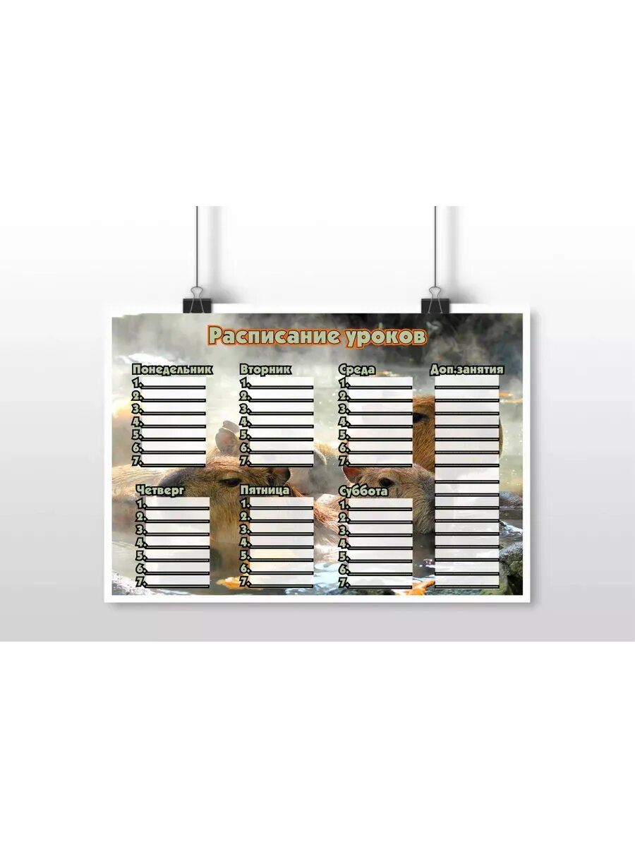 Расписание уроков Капибара, А4