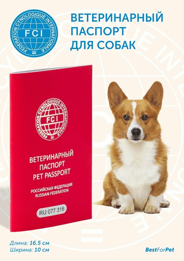 Международный ветеринарный паспорт FCI