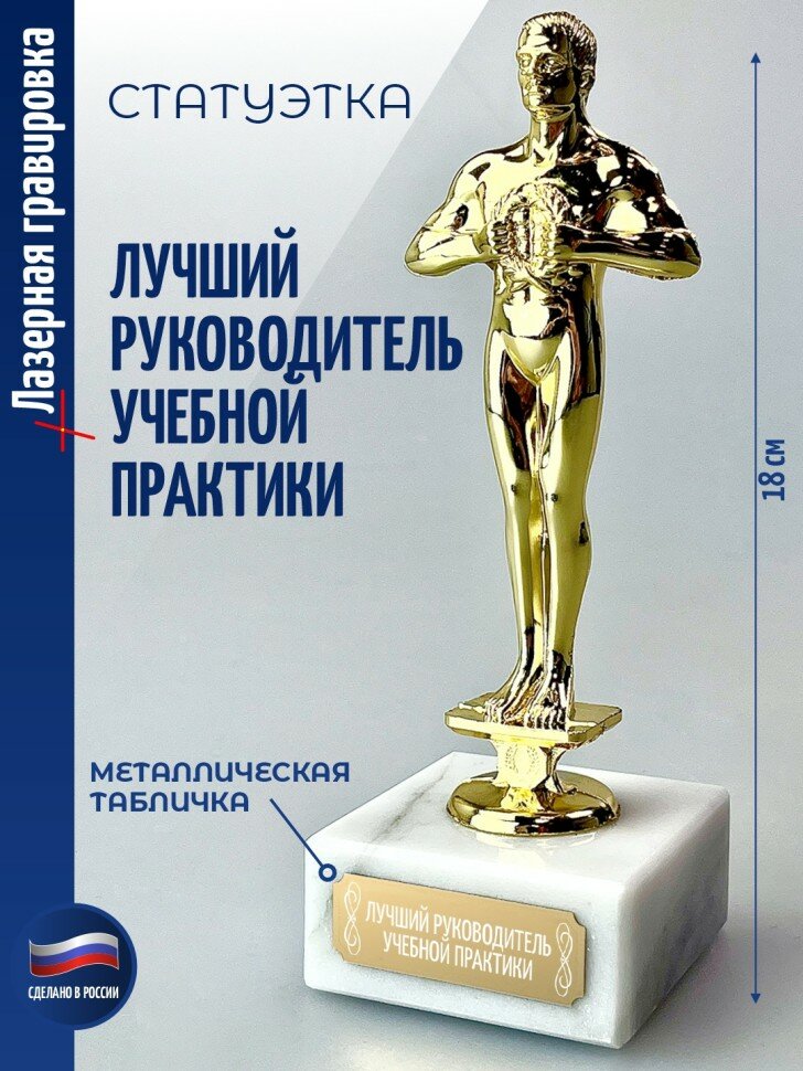 Награда "Лучший руководитель учебной практики" (18 см)