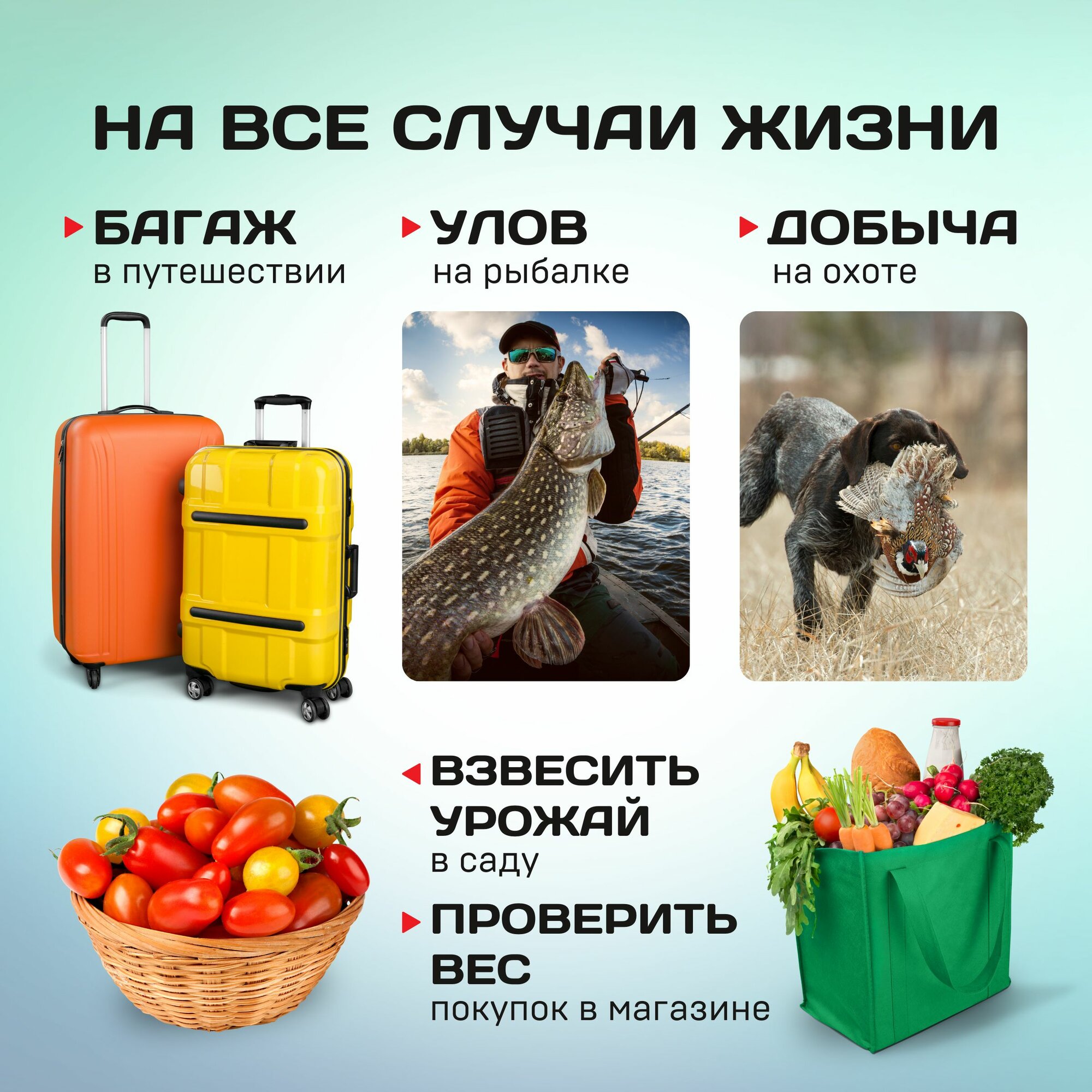 Весы для багажа — фото 1