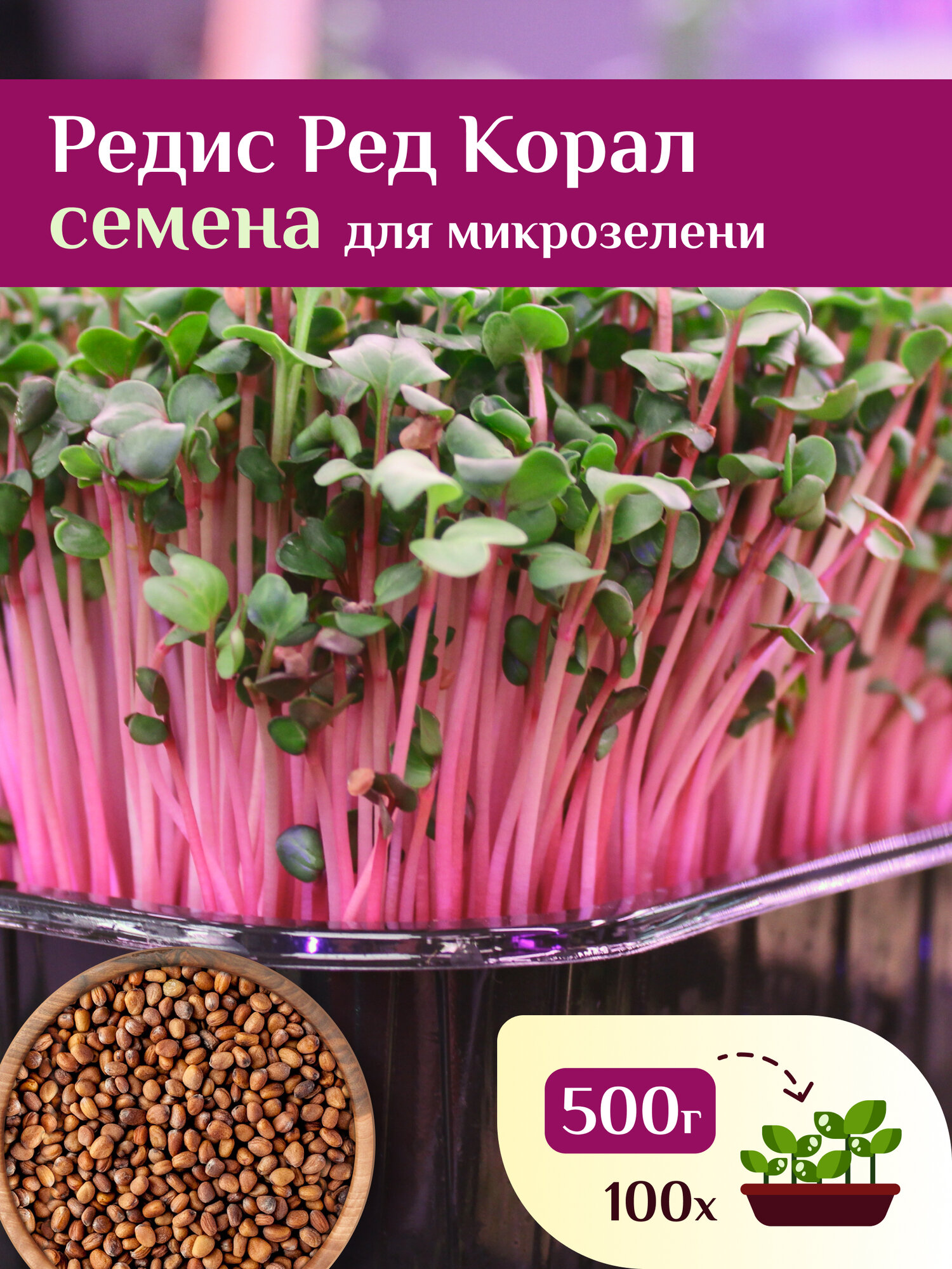 Редис Ред Корал семена для проращивания, Ильинские проростки 500г