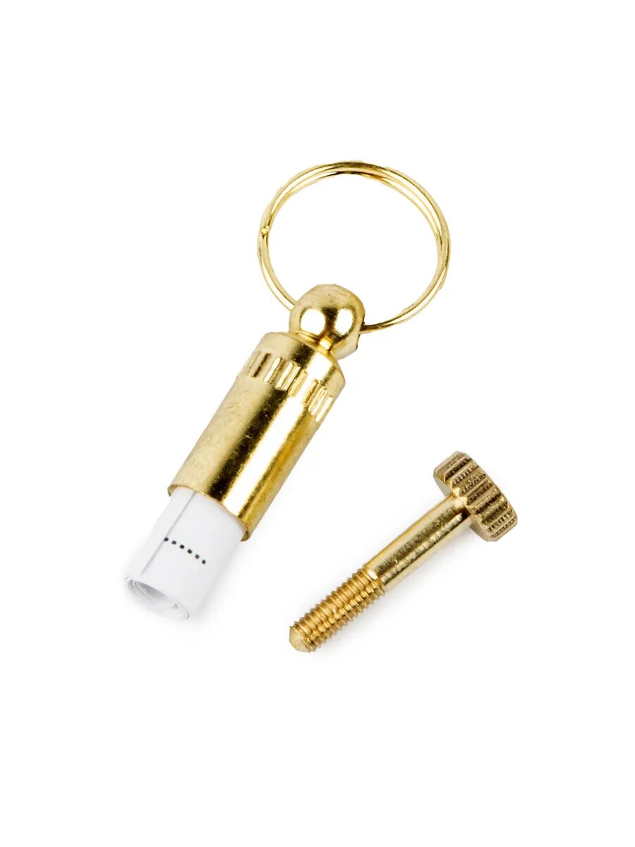 Адресник для кошек золотой