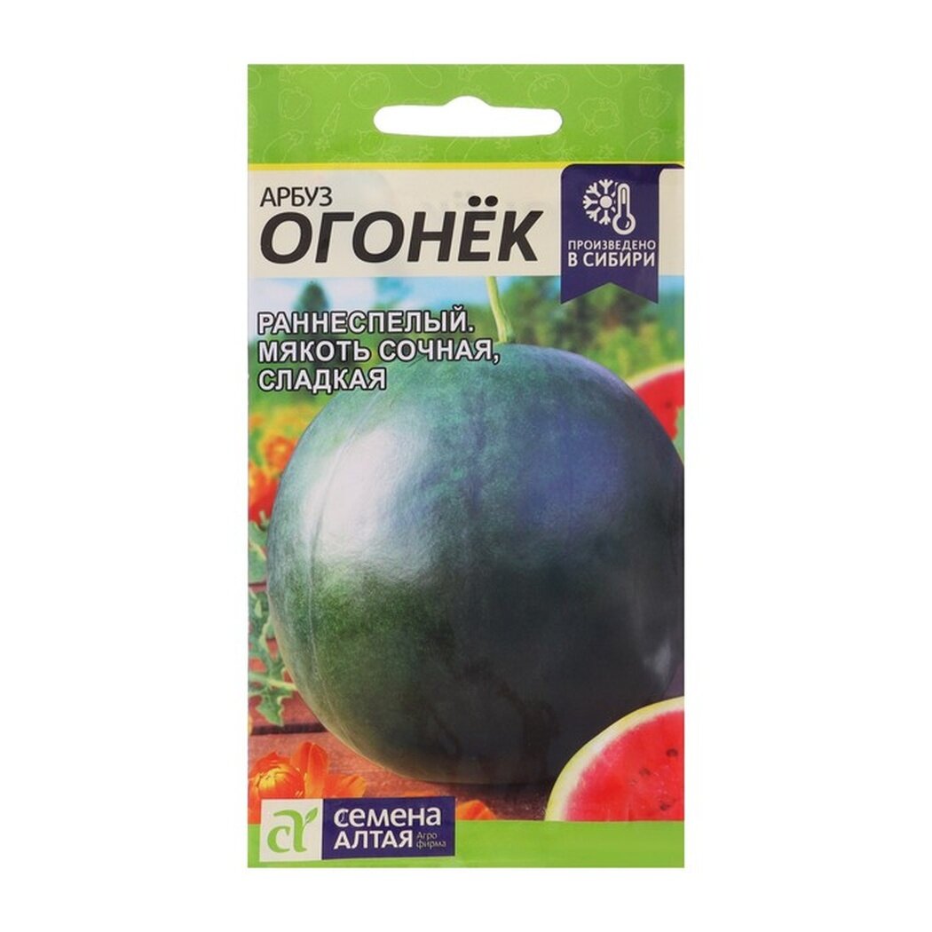 Семена арбуза "Огонек" Семена Алтая, раннеспелые, урожайные, 1г