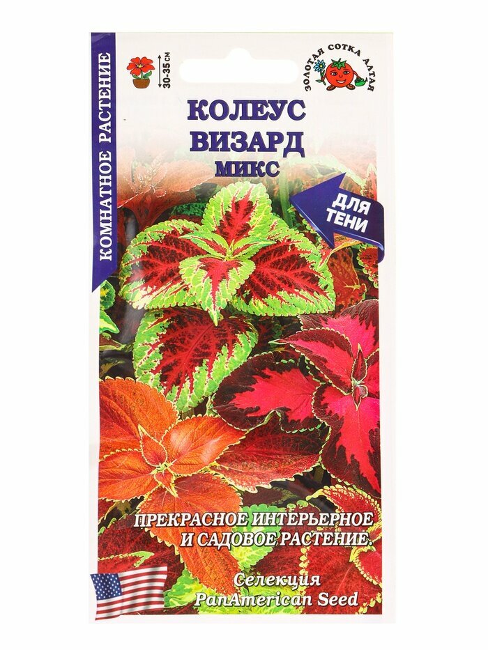 Семена комнатных цветов Колеус «Визард Микс», 10 шт, «Золотая Сотка Алтая» селекция PanAmerican Seed