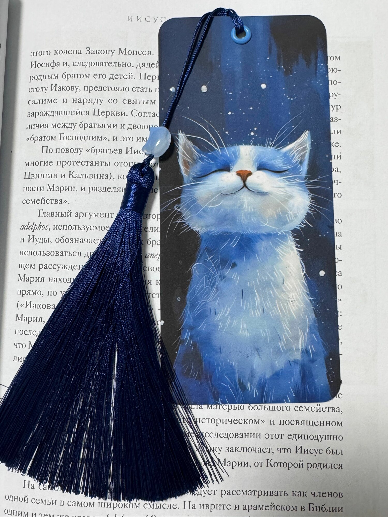 Книжная закладка "Кот улыбашка c влажным носом". Закладка для книги с кисточкой.