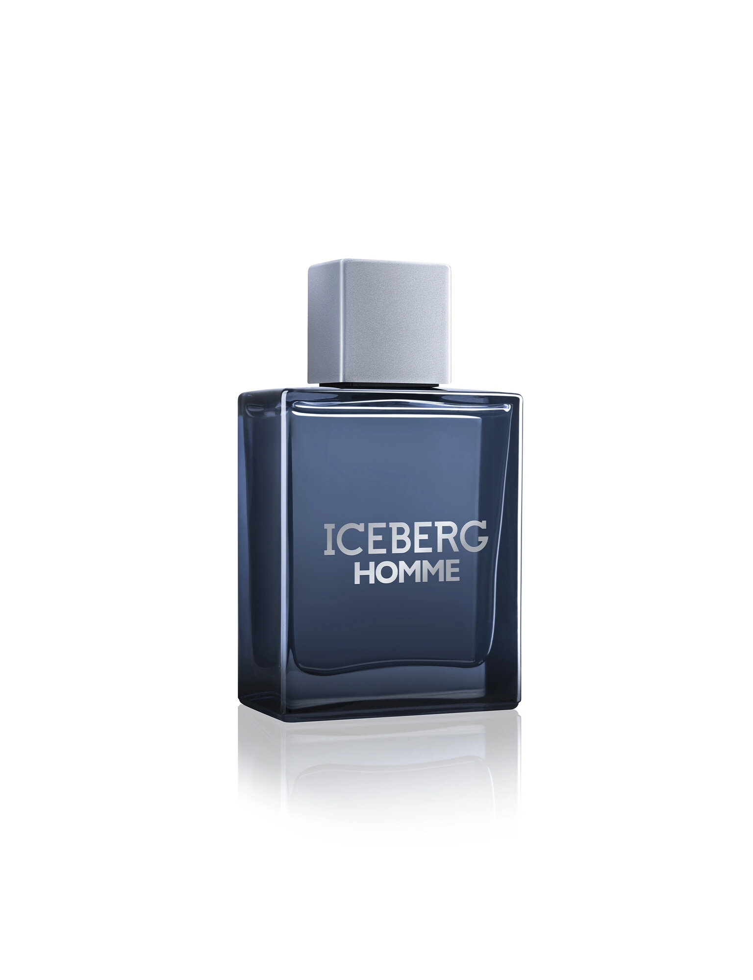 Туалетная вода Iceberg Homme 50 мл мужская, фужерная, цветочная