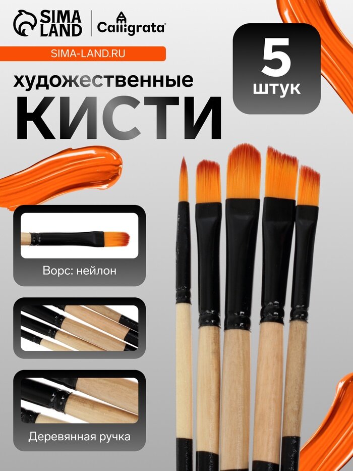 Набор кистей для рисования, нейлон, 5 штук: круглая, плоские, международный размер