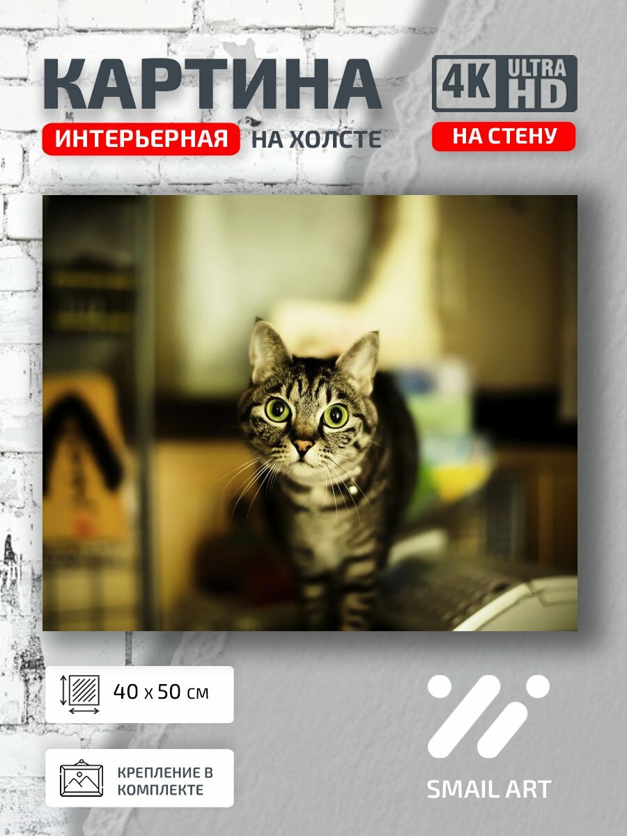 Картина на холсте интерьерная 40 на 50 на стену Взгляд Animal для спальни animal style