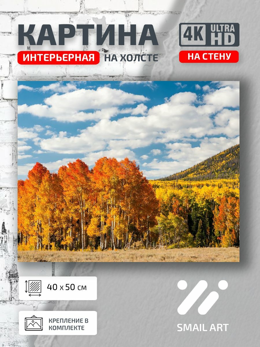 Картина на холсте интерьерная 40 на 50 на стену Степи Landscape для гостиной пейзаж декор