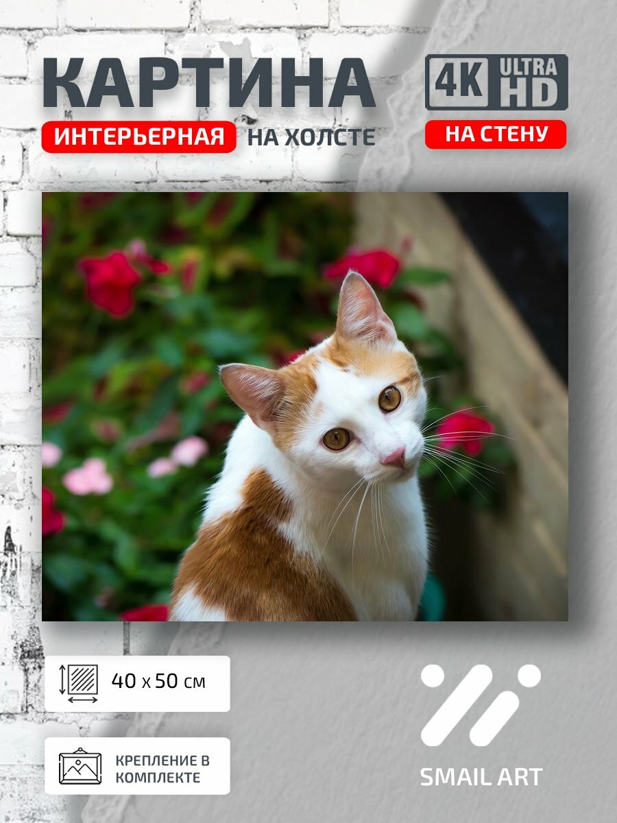 Картина на холсте интерьерная 40 на 50 на стену Рыже-белый Animal для детской animal style