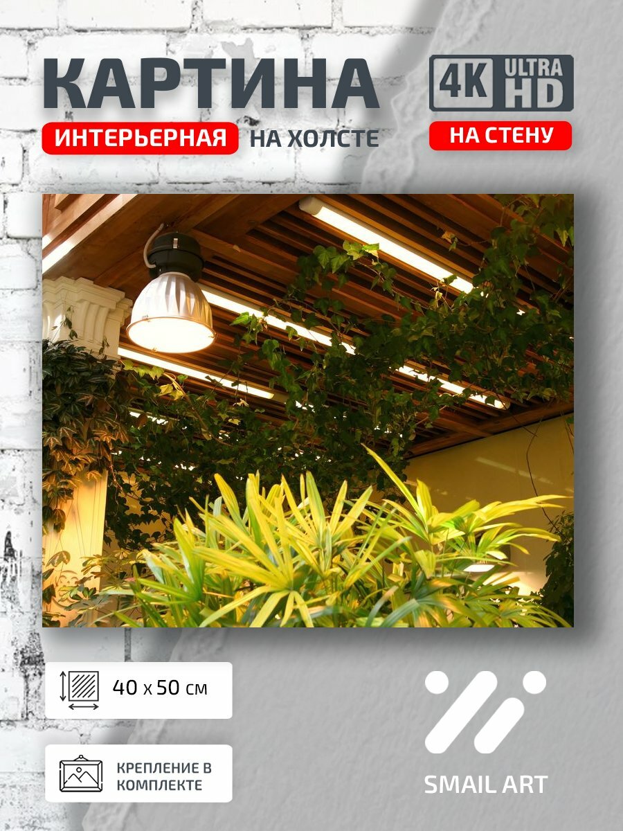 Картина на холсте интерьерная 40 на 50 на стену Растения Mood для офиса атмосфера интерьер